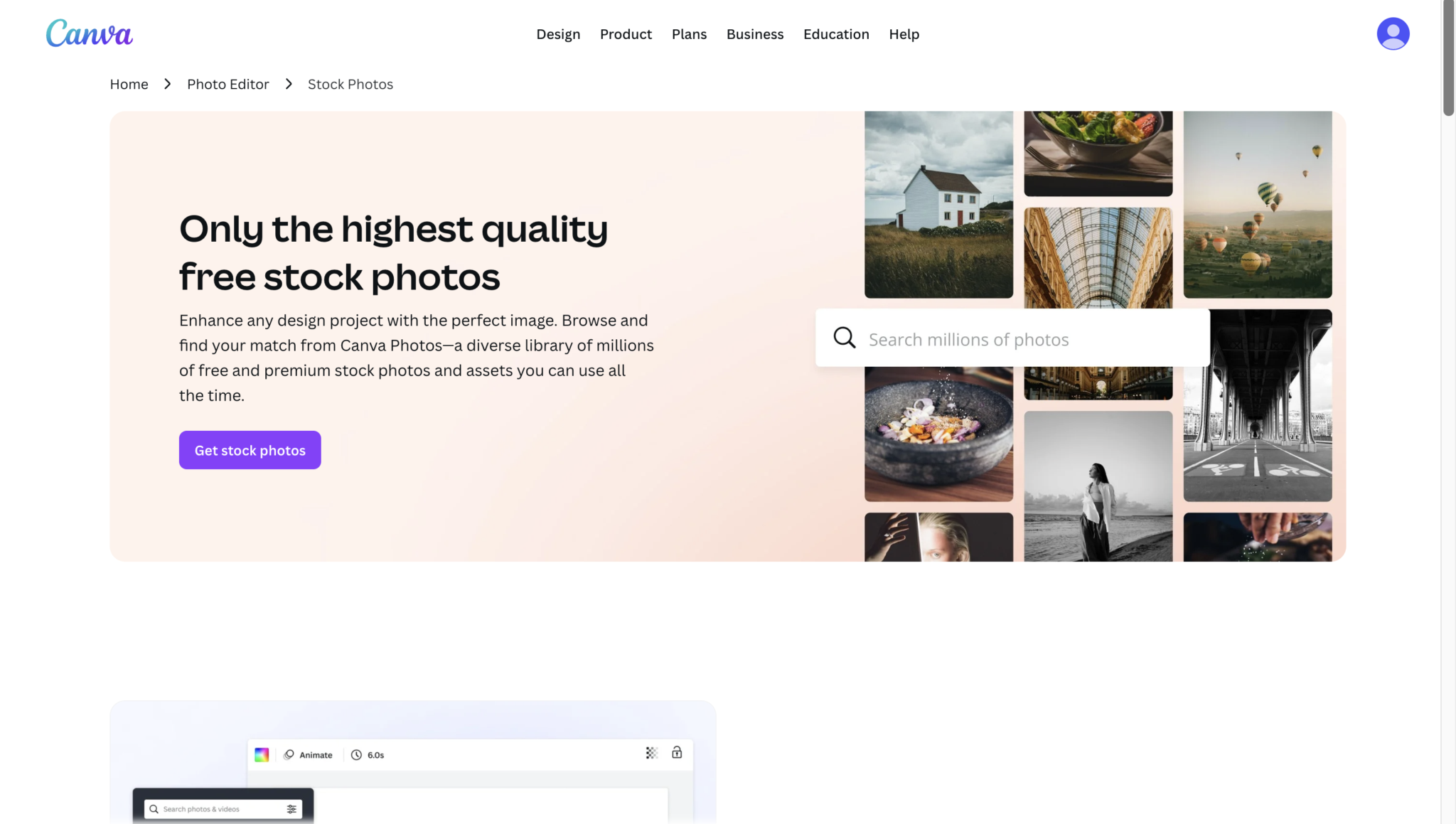 Top 24 Best Free Stock Photo Sites for Stunning Images | Thinkific